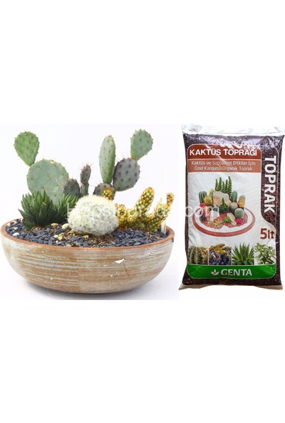 Genta Kaktüs ve Sukulent Bitkileri için Organik Toprak 5Lt.