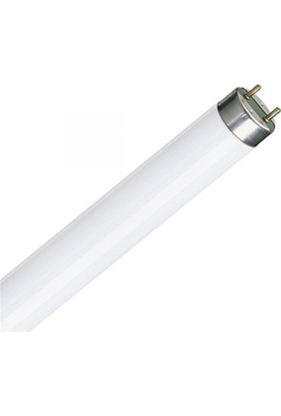 Amp.Flore.T8 G13 36W/840(Ilık Beyaz)