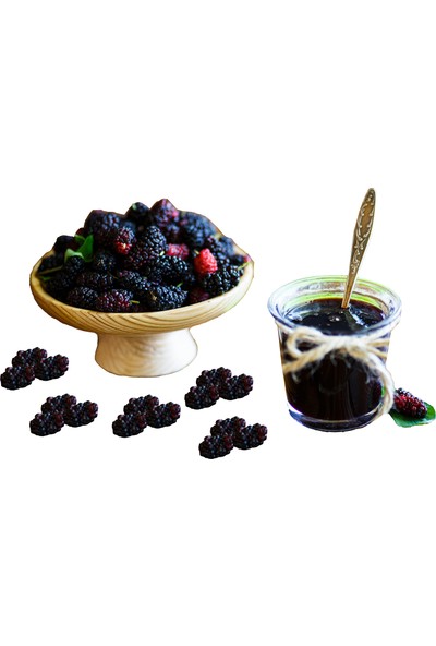 Muhteşem Tesisleri Soğuk Sıkım Karadut Özü 1 kg Muhteşem Tesisleri Soğuk Sıkım Karadut Özü 1 kg