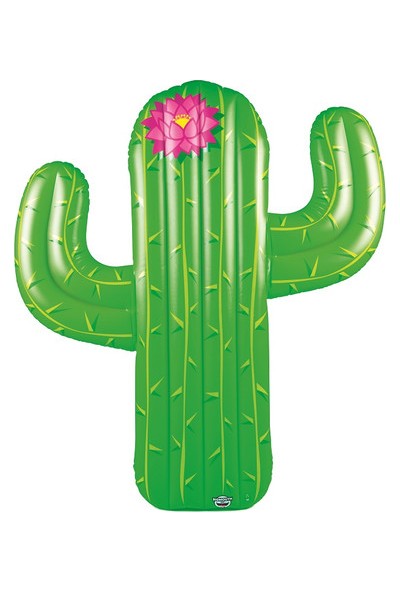 Big Mouth Kaktüs Deniz Yatağı Bmpfct