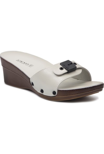 Ceyo Terlik 992707360