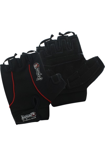 Dragon Fitness Eldiveni