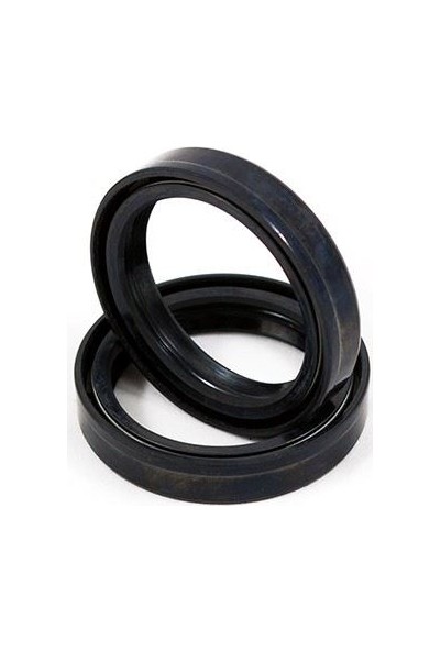 Suzuki GW 250 F INAZUMA Amortisör Yağ Keçesi (Ön Maşa)(2014-2017)