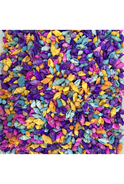 Deniz Kabuğu 100 Gram Karışık Renkli Minik Deniz Kabukları Nassa Shell 1 - 1,5 cm Deniz Kabuğu 100 Gram Karışık Renkli Minik Deniz Kabukları Nassa Shell 1 - 1,5 cm