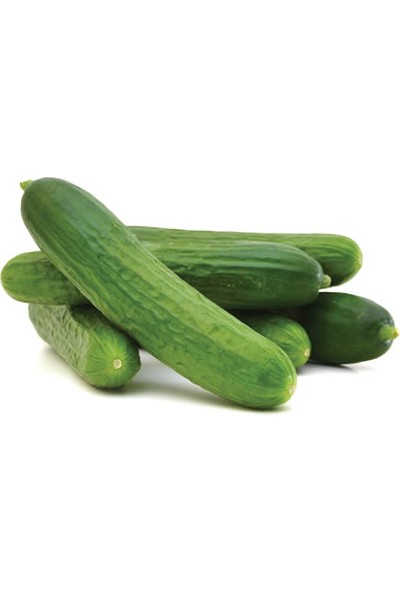 Tazece Hıyar (Salatalık) 1 kg