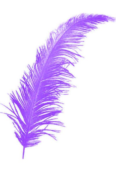 Elite Tüy 100 Adet Süsleme Tüyü Lila 12 cm