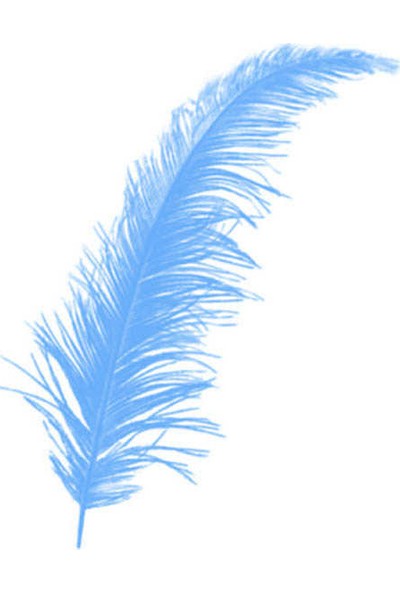 Elite Tüy 100 Adet Süsleme Tüyü Mavi 12 cm