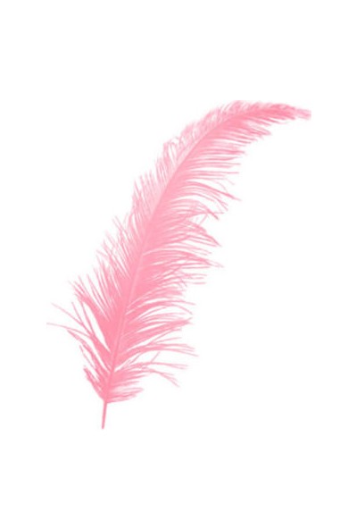 Elite Tüy 100 Adet Süsleme Tüyü Pembe 12 cm