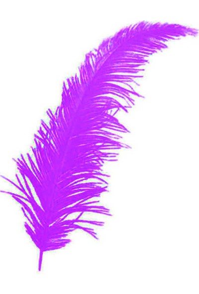 Elite Tüy 100 Adet Süsleme Tüyü Mor 12 cm