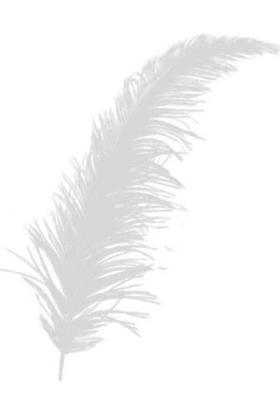 Elite Tüy 100 Adet Süsleme Tüyü Beyaz 12 cm Elite Tüy 100 Adet Süsleme Tüyü Beyaz 12 cm