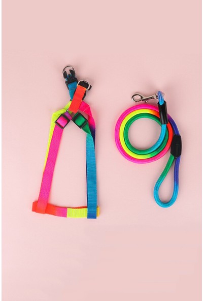 Ans Kedi Köpek Takım Gezdirme Tasması Gökkuşağı Small Ans Kedi Köpek Takım Gezdirme Tasması Gökkuşağı Small