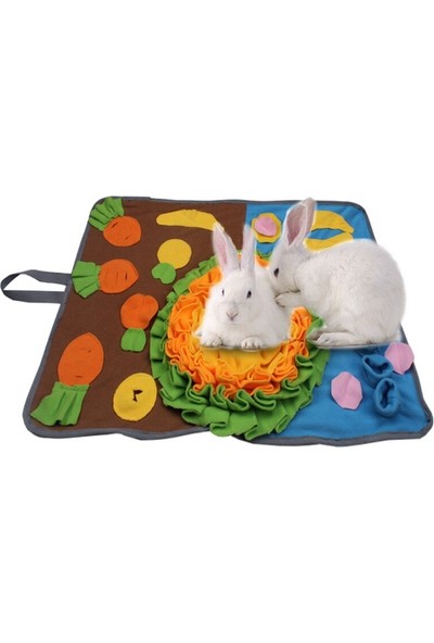 Three Beans Köpek Besleme Mat Snuffle Pad Yavru Eğitim Pedleri Büyük Battaniye Tavşan Etkinlik Mat Foring Becerileri / Stres Yayın Için | - (Yurt Dışından) Three Beans Köpek Besleme Mat Snuffle Pad Yavru Eğitim Pedleri Büyük Battaniye Tavşan Etkinlik Mat Foring Becerileri / Stres Yayın Için | - (Yurt Dışından)