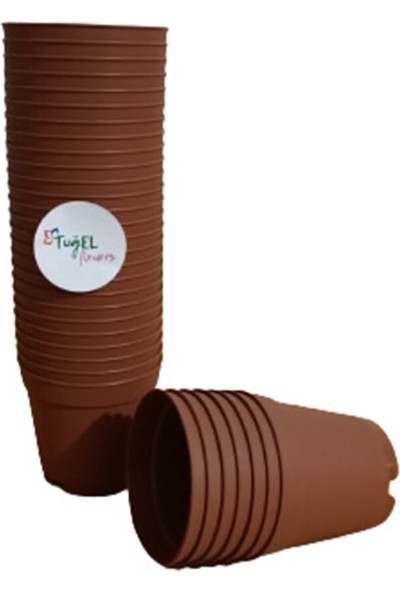 Tuğel Flowers 10 Adet Kaktüs&sukulent Üretim Saksısı (Mini Boy-5.5 Cm)