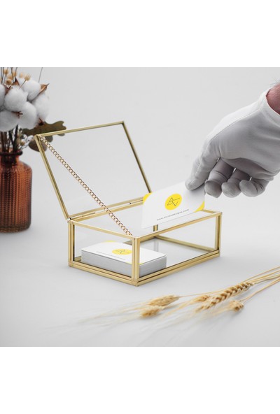 El Crea Designs Konsept Hediyelik Cam Kapaklı Yüzük Takı Aksesuar Kutusu Ham Pirinç Gold Brass 15CM x 10CM x 6cm El Crea Designs Konsept Hediyelik Cam Kapaklı Yüzük Takı Aksesuar Kutusu Ham Pirinç Gold Brass 15CM x 10CM x 6cm