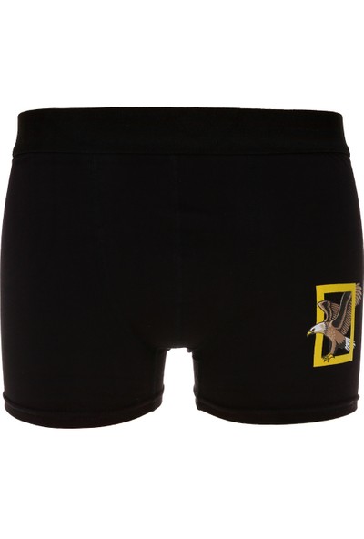 National Geographic Boxer