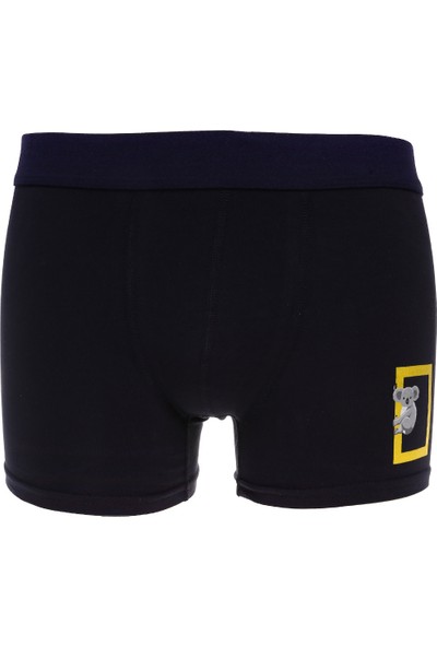 National Geographic Boxer