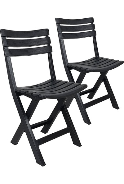 Binbirreyon 2 Adet Katlanır Sandalye Ahşap Desenli Plastik Sandalye AA016