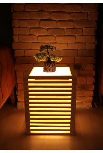 Woodingo Masif Ahşap Camlı ve Led'li Orta Sehpa Woodingo Masif Ahşap Camlı ve Led'li Orta Sehpa