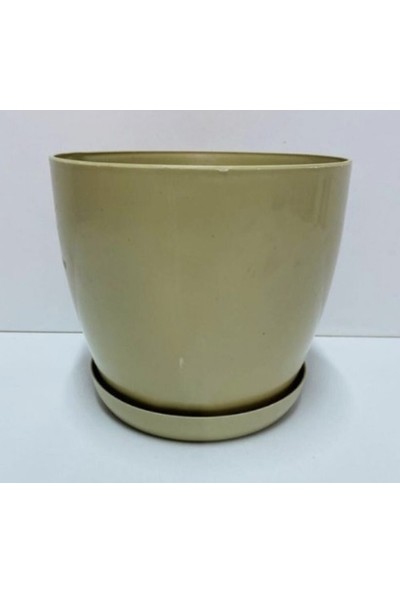 Krem Rengi Sardunya Saksı 5.4 Litre Tabaklı