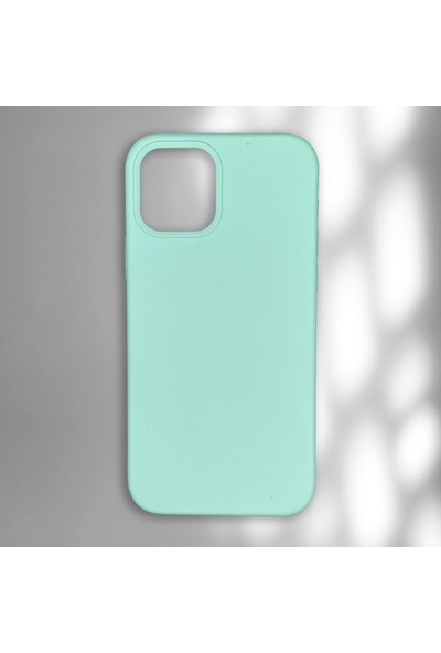Turtle Apple iPhone 12 / 12 Pro Su Yeşili Lansman Kılıf Kapak