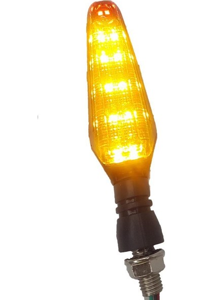 Sinyal Tokyo [takım]