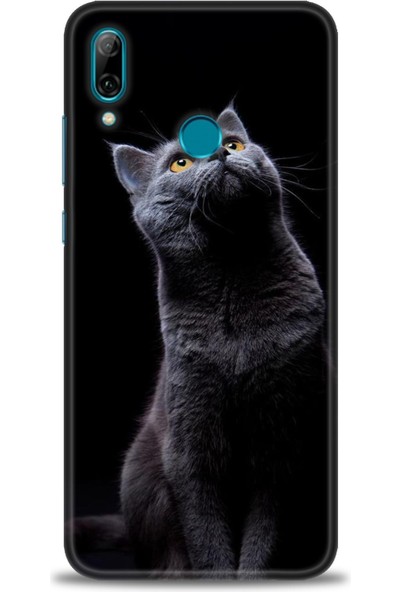 Noprin Huawei P Smart 2019 Kılıf Hd Baskılı Kılıf - Black Cat Noprin Huawei P Smart 2019 Kılıf Hd Baskılı Kılıf - Black Cat