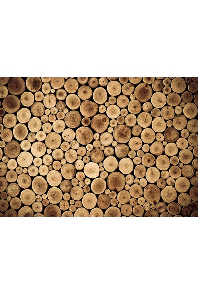 Orhunstore Kütük 3D Poster - 3 Boyutlu Tek Parça Duvar Kağıdı Orhunstore Kütük 3D Poster - 3 Boyutlu Tek Parça Duvar Kağıdı