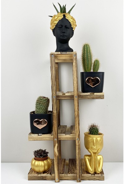 8 Saksılık Dekoratif Doğal Ahşap Çiçeklik Bahçe-Balkon Sukulent ve Kaktüs Saksı Standı 8 Saksılık Dekoratif Doğal Ahşap Çiçeklik Bahçe-Balkon Sukulent ve Kaktüs Saksı Standı