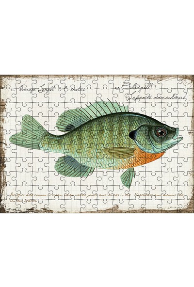 Tablomega Ahşap Mdf Puzzle Yapboz Balığın Anatomisi 120 Parça 25*35 cm