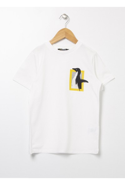 National Geographic T-S, 15-16 Yaş, Ekru