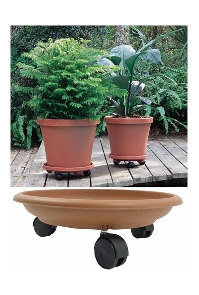 Xnews Yenihomecare Coadura 12 Adet Tekerlekli Saksı Taşıyıcı ve Altığı 29 cm 716061 Xnews Yenihomecare Coadura 12 Adet Tekerlekli Saksı Taşıyıcı ve Altığı 29 cm 716061