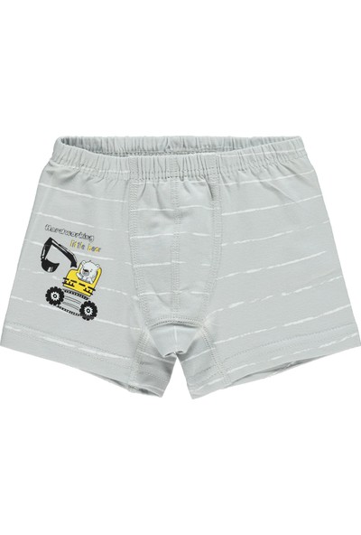 Donella Erkek Çocuk Boxer 2-6 Yaş Gri