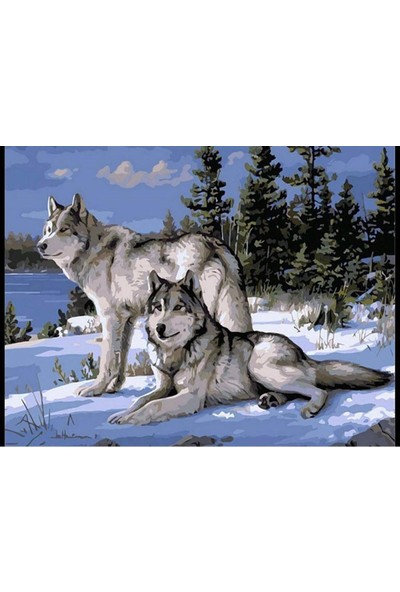 Lily Hobbyland Sayılarla Boyama Seti Çerçevesiz Rulo 40 x 50 cm Kurt Bakışı