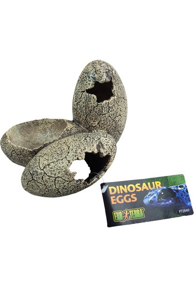 Dinazor Yumurtası Süs-Zoo