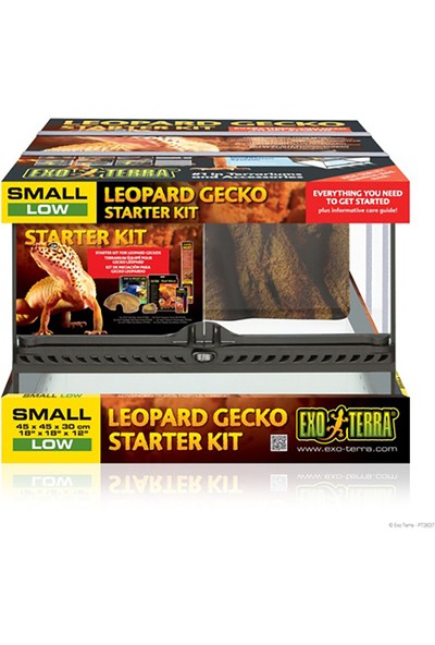 Ex Leopard Gecko Starter Kit-Zoo Ex Leopard Gecko Starter Kit-Zoo