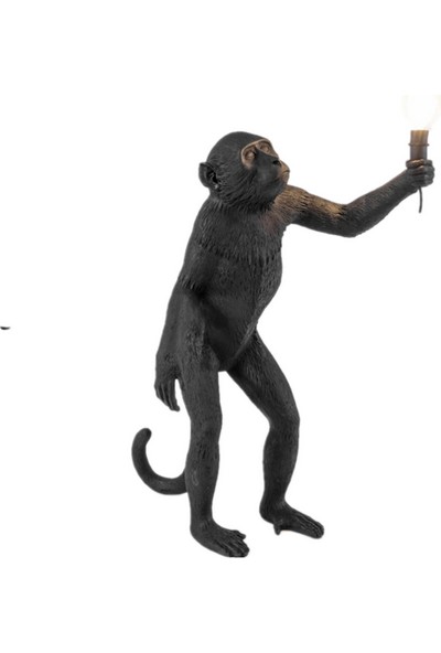 Wealthy Asılan Maymun Şeklinde Gece Lambası (Yurt Dışından) Wealthy Asılan Maymun Şeklinde Gece Lambası (Yurt Dışından)