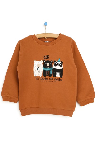Hellobaby Basic Erkek Bebek Şardonlu Iki Ip Baskılı Sweatshirt