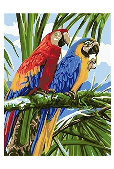 Papağanların Dostluğu Çerçeveli 40X50 Sayılarla Boyama Hobi Seti Papağanların Dostluğu Çerçeveli 40X50 Sayılarla Boyama Hobi Seti