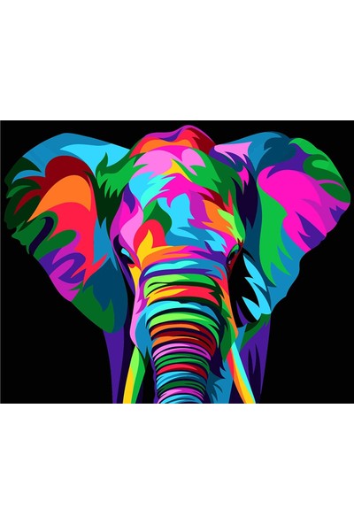 Hobi Tedarik Rengarenk Fil Çerçeveli 50X65 Sayılarla Boyama Hobi Seti