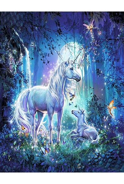 Hobi Tedarik Unicorn ve Yavrusu Çerçeveli 90X110 Sayılarla Boyama Hobi Seti Hobi Tedarik Unicorn ve Yavrusu Çerçeveli 90X110 Sayılarla Boyama Hobi Seti