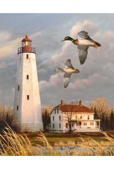 Hobi Tedarik Deniz Feneri ve Yaban Ördekleri Çerçevesiz 40X50 Sayılarla Boyama Hobi Seti