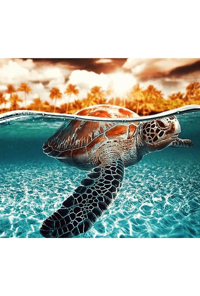 Hobi Tedarik Kaplumbağa ve Deniz 2 Sticker(Çerçevesiz) 60X75 Sayılarla Boyama Hobi Seti Hobi Tedarik Kaplumbağa ve Deniz 2 Sticker(Çerçevesiz) 60X75 Sayılarla Boyama Hobi Seti