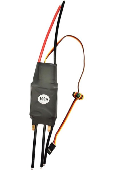 Gypsophila Rc Araç Yedek Parça Ekipmanı (Yurt Dışından)