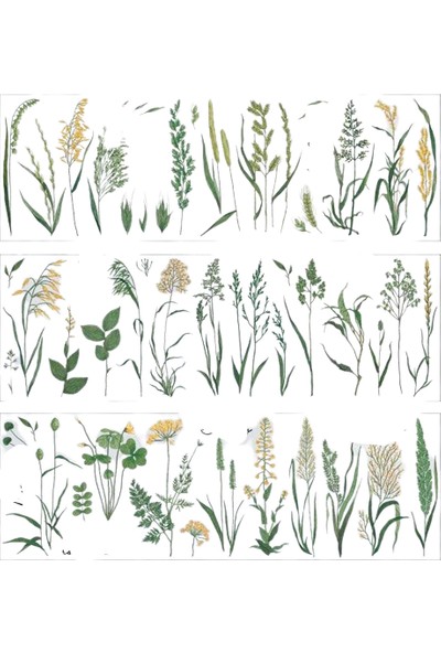 Charge Bitki Şeffaf Pet Çıkartmalar