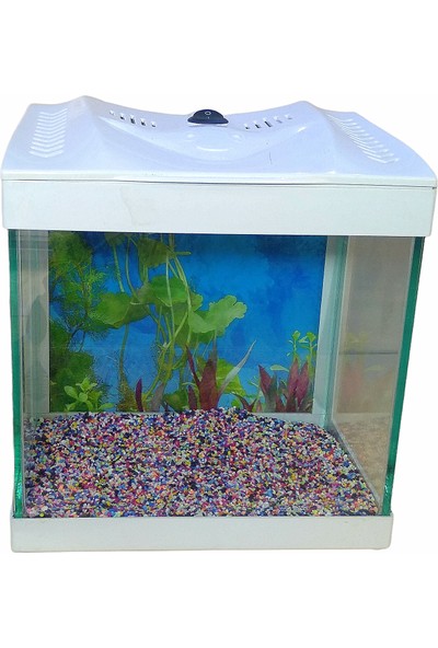 Girist Pet LED Işıklı Mini Akvaryum 21,5X23 CMX14,5 cm Girist Pet LED Işıklı Mini Akvaryum 21,5X23 CMX14,5 cm