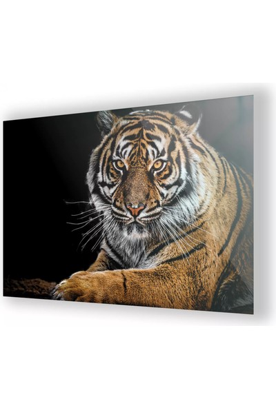 Kaplan Resmi Cam Tablo Kaplan Resmi Cam Tablo