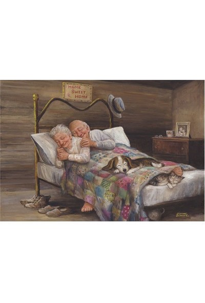 Amazeus 3541 Anatolian Ev Gibisi Yok / 500 Parça Puzzle