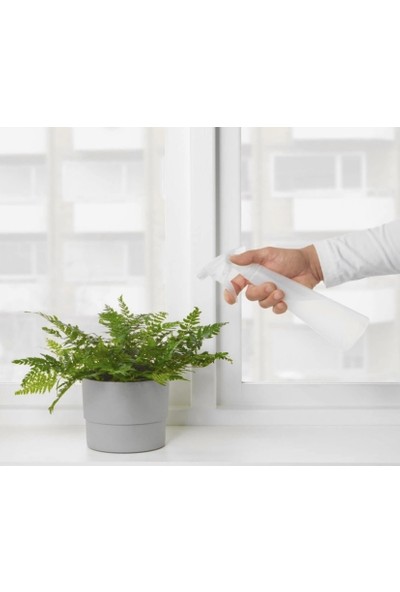 Purpleex Çiçek Sulama Fıs Fısı & Dezenfektan Sprey Kutusu