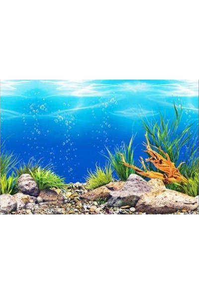 Cadia Okyanus Pvc Akvaryum Arka Plan Poster Balık Tankı Dekorasyon Manzara 60X102 cm (Yurt Dışından) Cadia Okyanus Pvc Akvaryum Arka Plan Poster Balık Tankı Dekorasyon Manzara 60X102 cm (Yurt Dışından)