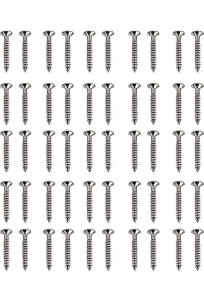 Perfk 50X Nikel Gitar Köprü Vidalar Tremolo Köprü Montaj Vidaları Için Tl Gitar Için (Yurt Dışından) Perfk 50X Nikel Gitar Köprü Vidalar Tremolo Köprü Montaj Vidaları Için Tl Gitar Için (Yurt Dışından)